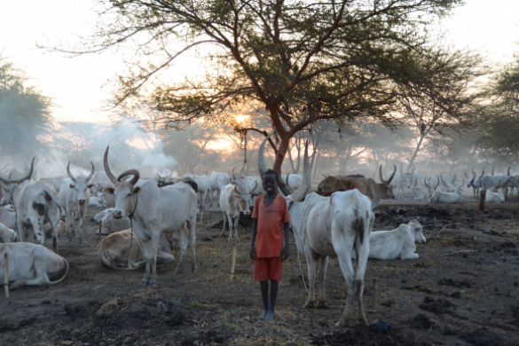 Armut und Hunger bekämpfen | Hoffnungszeichen e.V.
